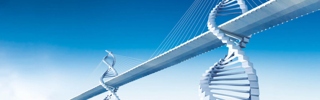 Chryso North America | Construction Chemicals & Fibers Manufacturer